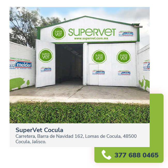 SuperVet