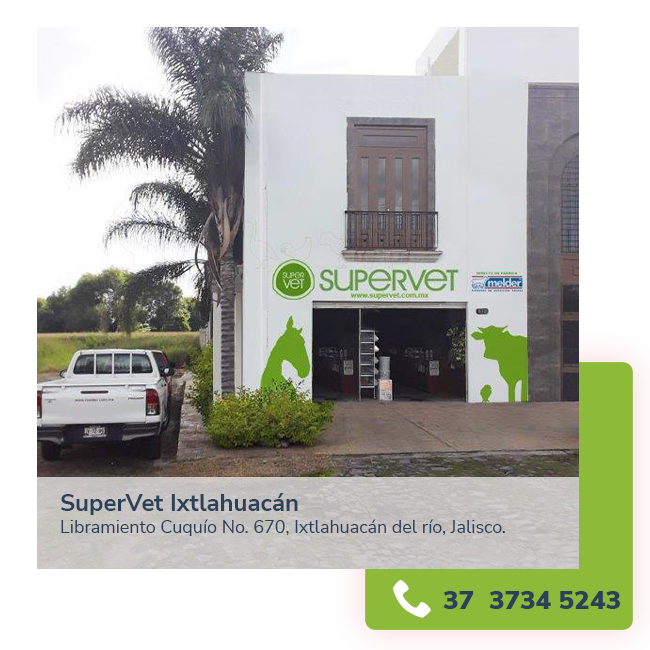 SuperVet